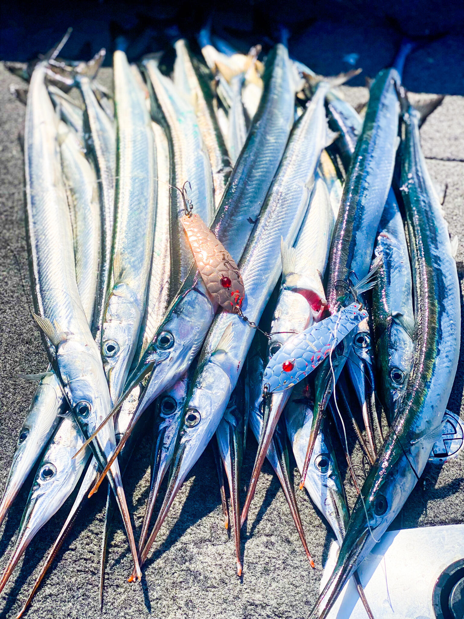 Tuulehaugi püük - info ja nõuanded. Tuulehaugi rakendus – Kalastusgiidi ...