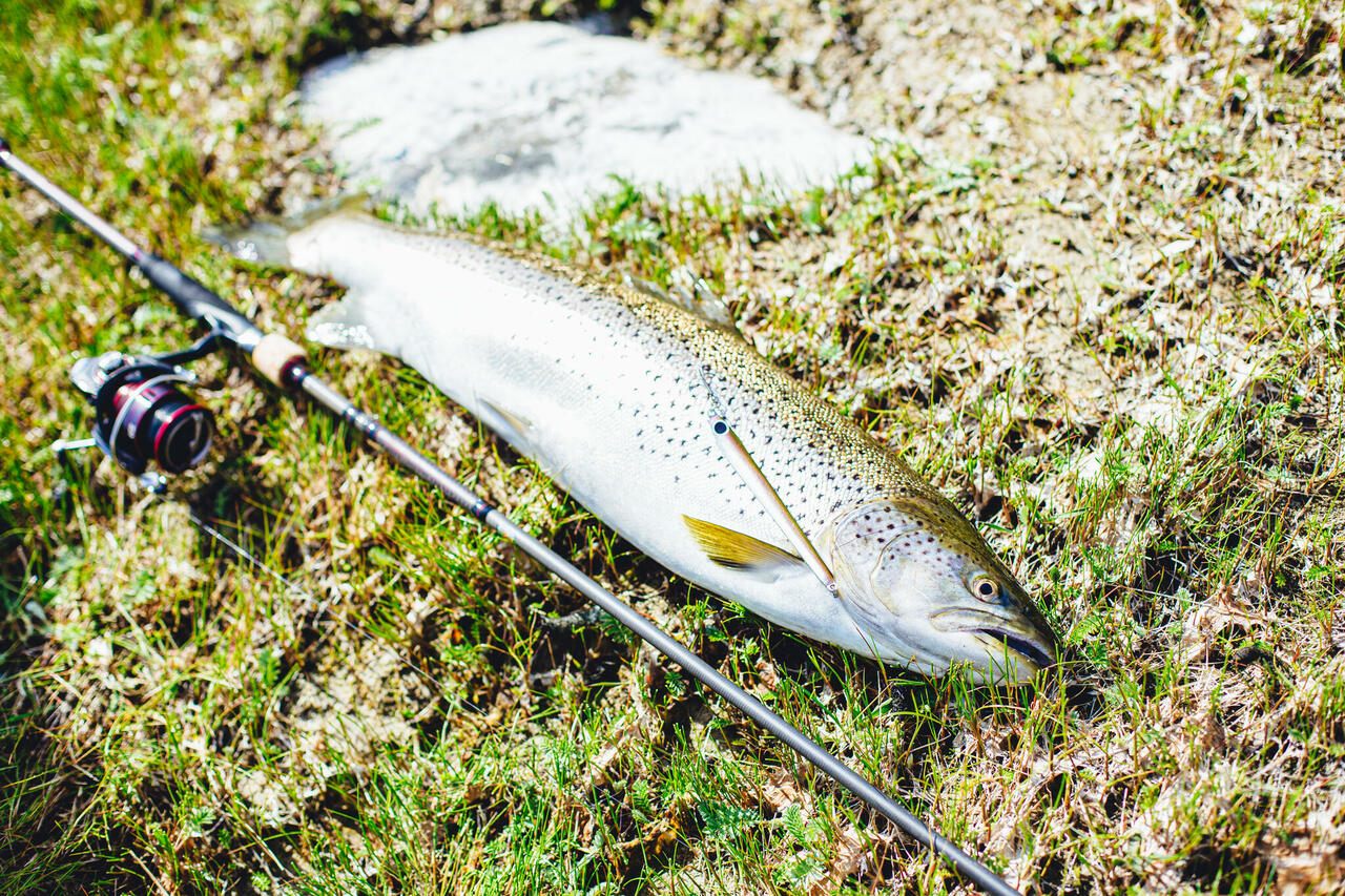 Meriforelli püük alustavale huvilisele - 1.varustus – Kalastusgiidi ...